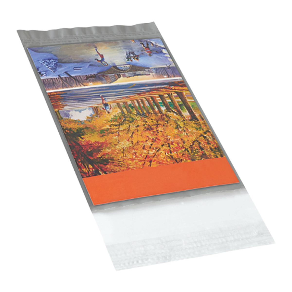 4.75 x 6.5" Clear View Poly Mailers (1000/case)